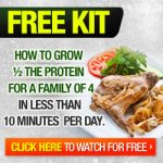 Are You Prepared for Peak Chicken? - The Grow Network : The Grow Network