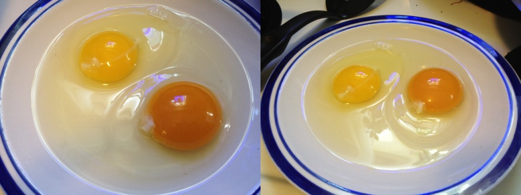 Comparing Eggs and Five Things To Look for In Every Egg You Eat - The ...