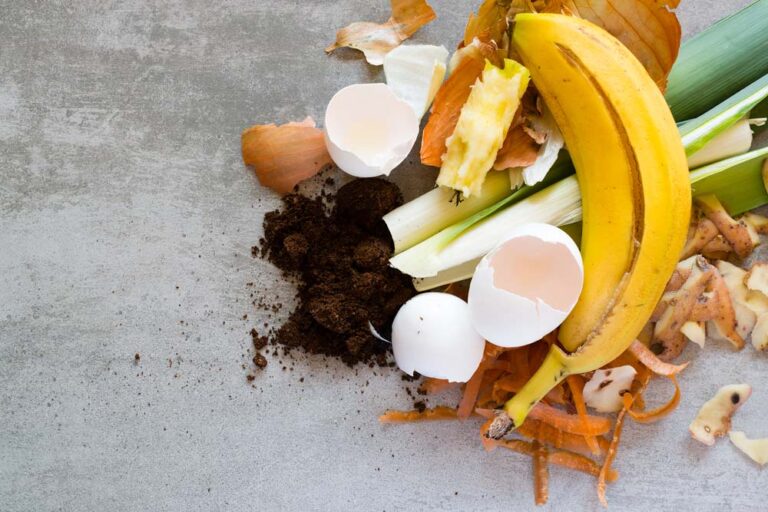 9 Clever Ways to Eat Commonly Wasted Kitchen Scraps : The Grow Network