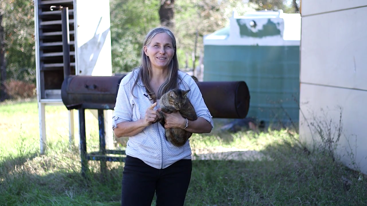 Barn Cats Using Camouflage To Avoid Predators - The Grow Network : The ...