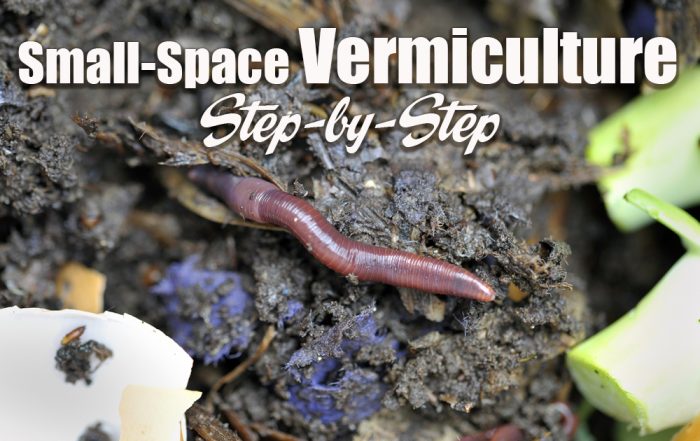 Small-Space Vermiculture, Step-by-Step - The Grow Network : The Grow ...