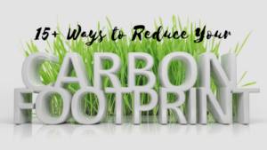 15+ Ways to Reduce Your Carbon Footprint - The Grow Network : The Grow ...
