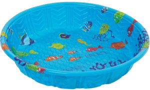 Top 15 Basic Supplies You Need to Brood Chicks the Right Way - The Grow ...