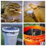 8 Genius Uses for Buckets on the Homestead - The Grow Network : The ...