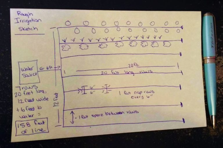 11 Irrigation Techniques for a Happy Garden - The Grow Network : The ...