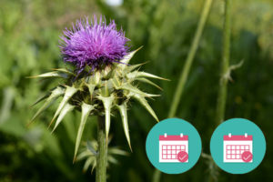 An Illustrated Glossary of 49 Botanical Terms - The Grow Network : The ...