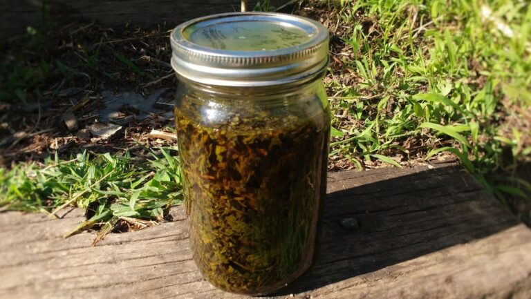 How to Make Herbal Infusions - The Grow Network : The Grow Network