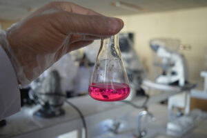 Hummingbird Sugar Water Ratio: Hit the 1:3 Sweet Spot - The Grow ...