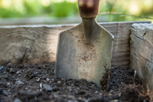 Homemade Natural Fertilizer—15 Simple and Inexpensive Options - The ...