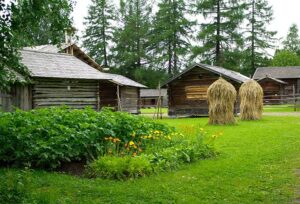 Homemade Natural Fertilizer—15 Simple and Inexpensive Options - The ...