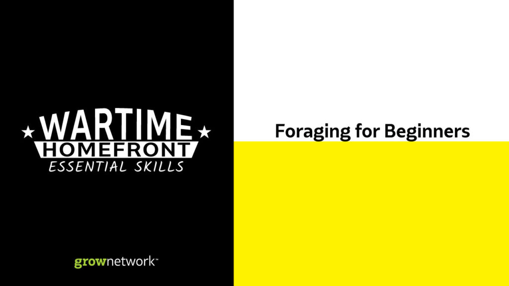Wartime Homefront Essential Skills - The Grow Network